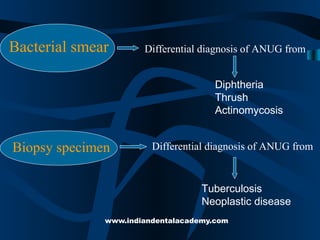 Acute necrotising ulcerative gingivitis , ANUG /certified fixed ...