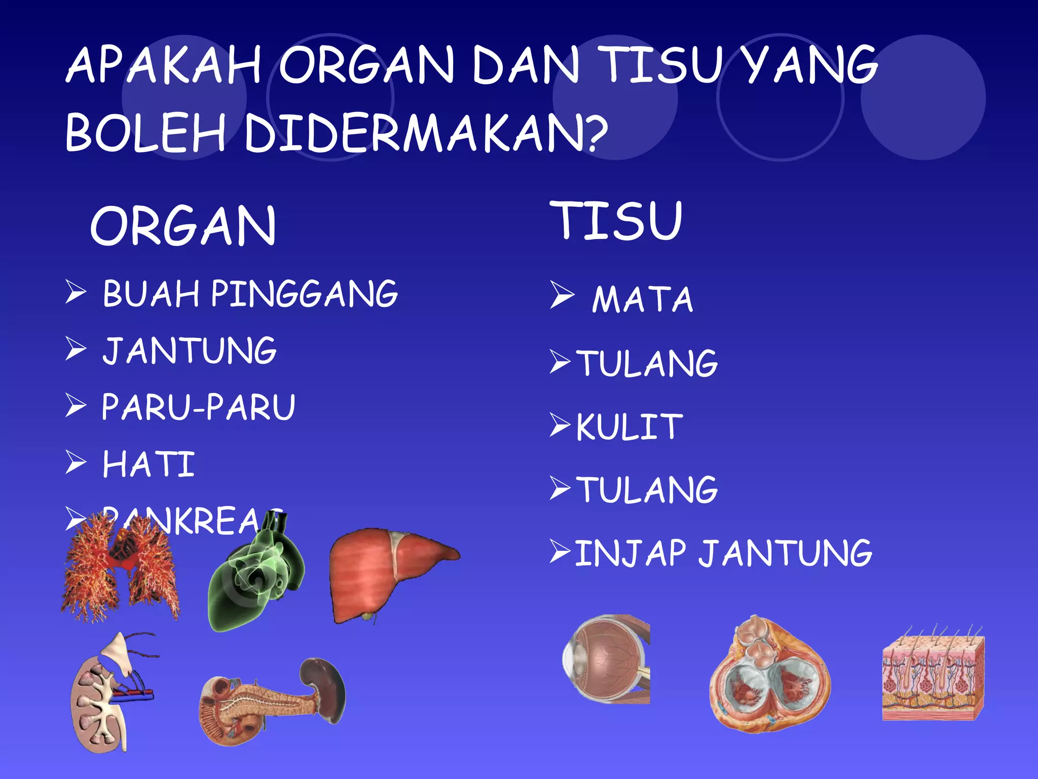 Anugerah kehidupan | PPT