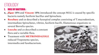 Acute gingival infections PERIO ppt | PPT