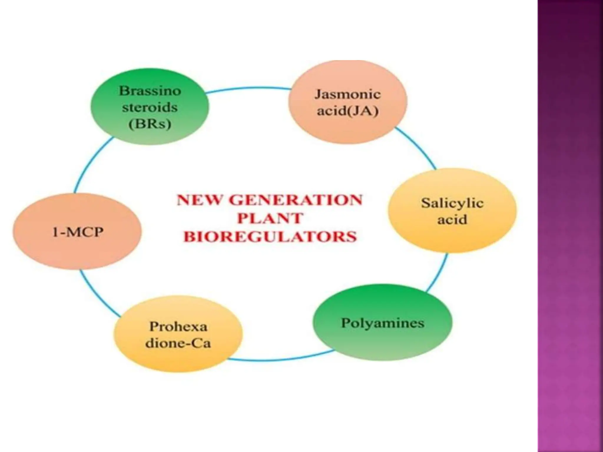Role of new generation plant growth regulators CRP.pptx