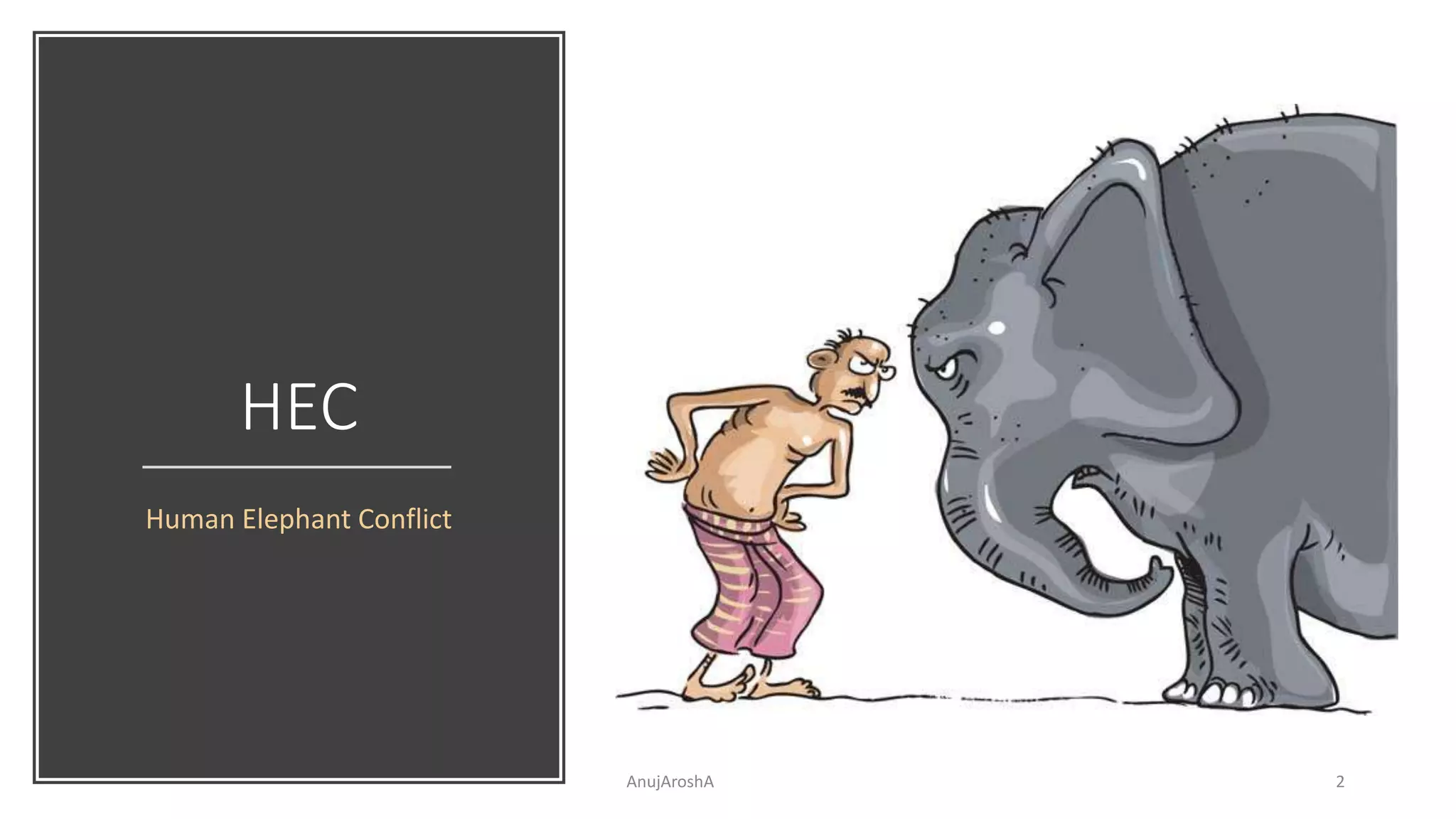 Human Elephant Conflict | PPTX Human Elephant Conflict | PPTX