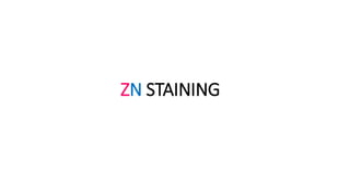 Basic staining procedures in Microbiology | PPTX