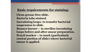 Basic staining procedures in Microbiology | PPTX