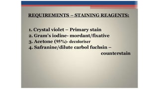 Basic staining procedures in Microbiology | PPTX