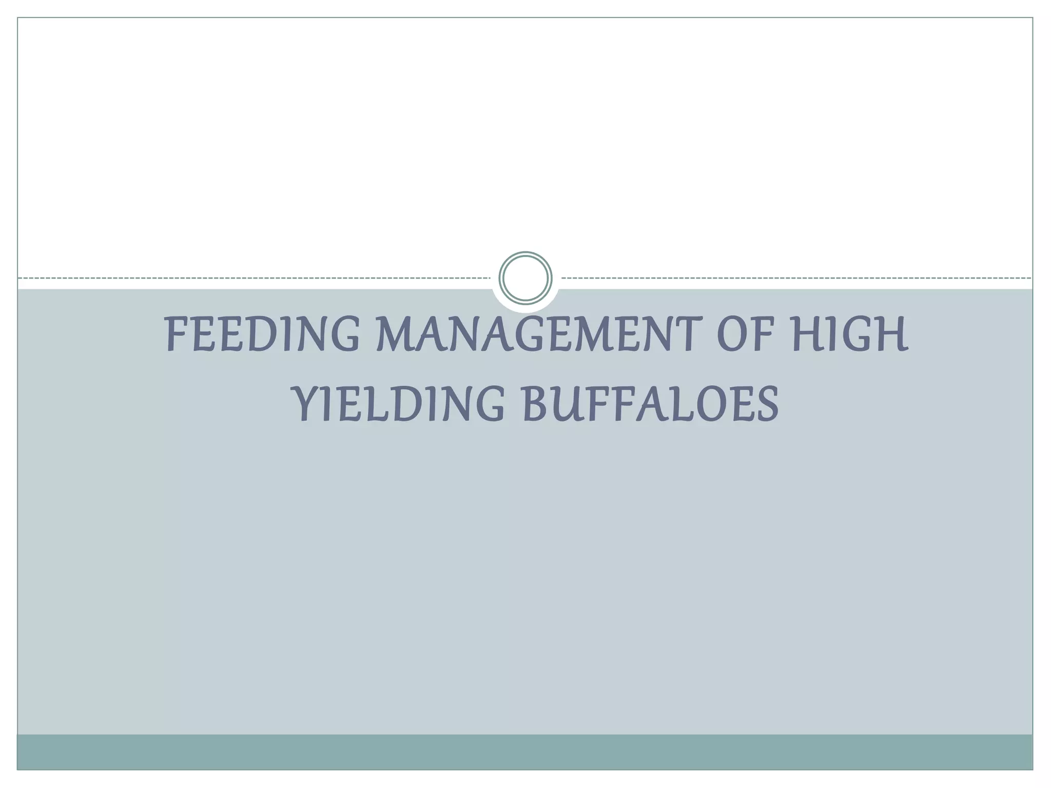 feeding management og high yielding buffaloes | PPTX