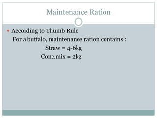 feeding management og high yielding buffaloes | PPTX