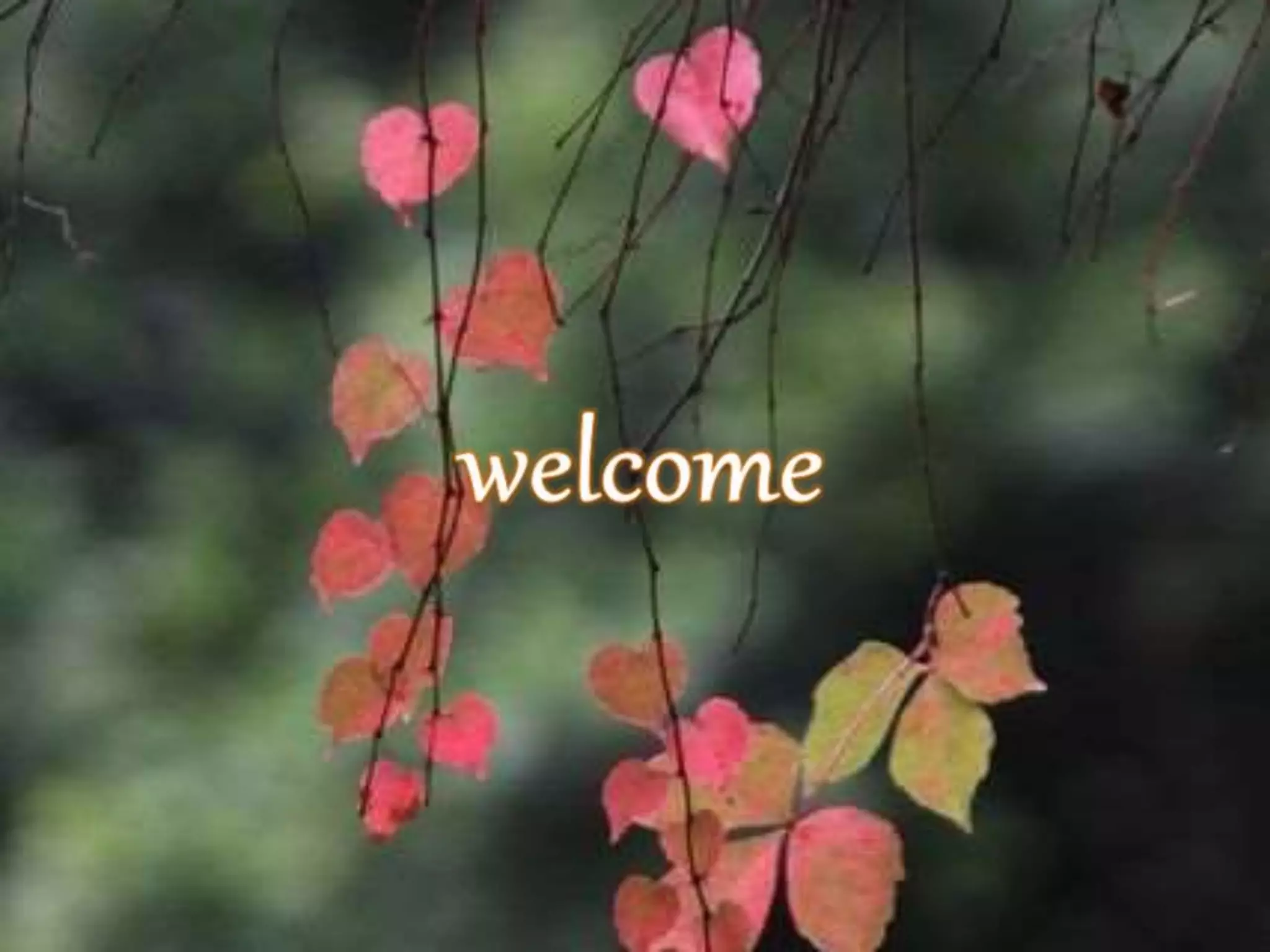 anukta dravya with respect to namarupa | PPTX