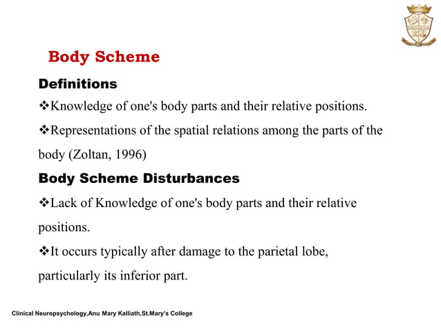 Psychology-Body Scheme Disturbances | PPTX