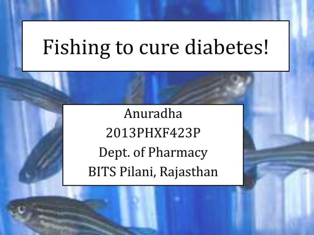Zebra fish models for diabetes | PPTX | Endocrine and Metabolic ...