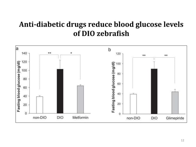 Zebra fish models for diabetes | PPTX | Endocrine and Metabolic ...