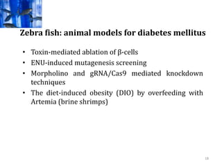 Zebra fish models for diabetes | PPTX