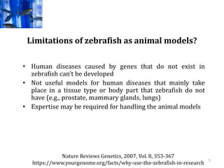 Zebra fish models for diabetes | PPTX