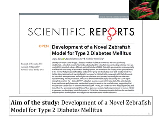 Zebra fish models for diabetes | PPTX