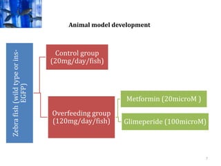 Zebra fish models for diabetes | PPTX