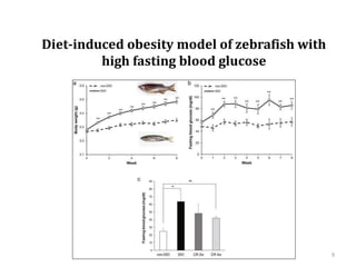 Zebra fish models for diabetes | PPTX