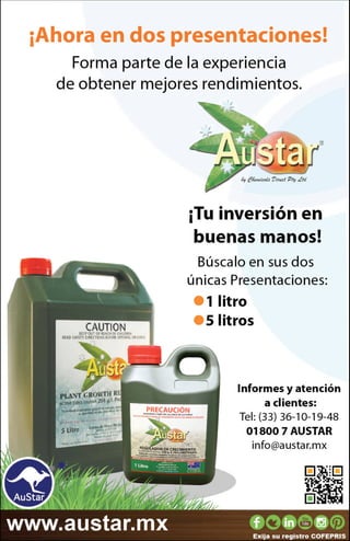 AuStar Mexico | PDF