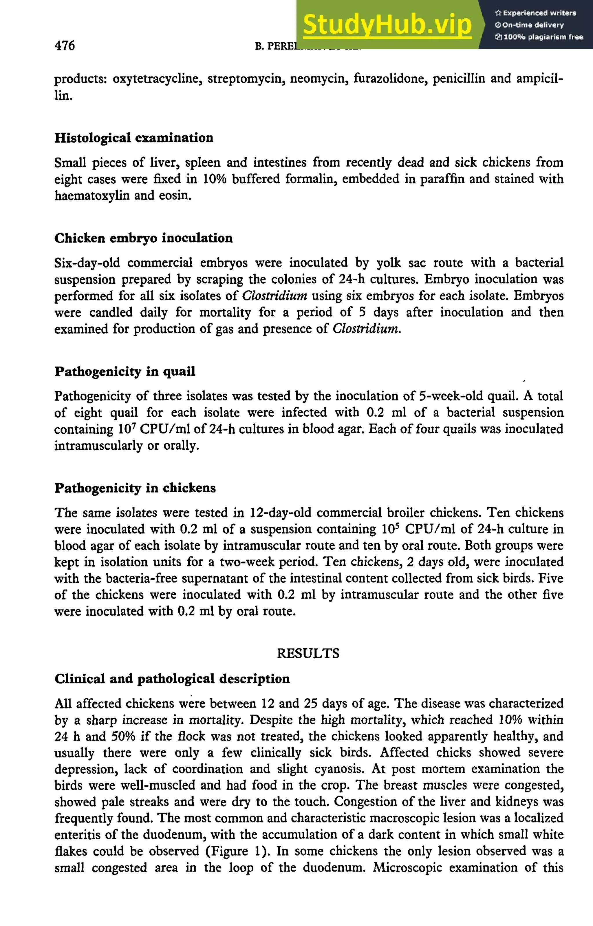 An Unusual Clostridium Colinum Infection In Broiler Chickens | PDF