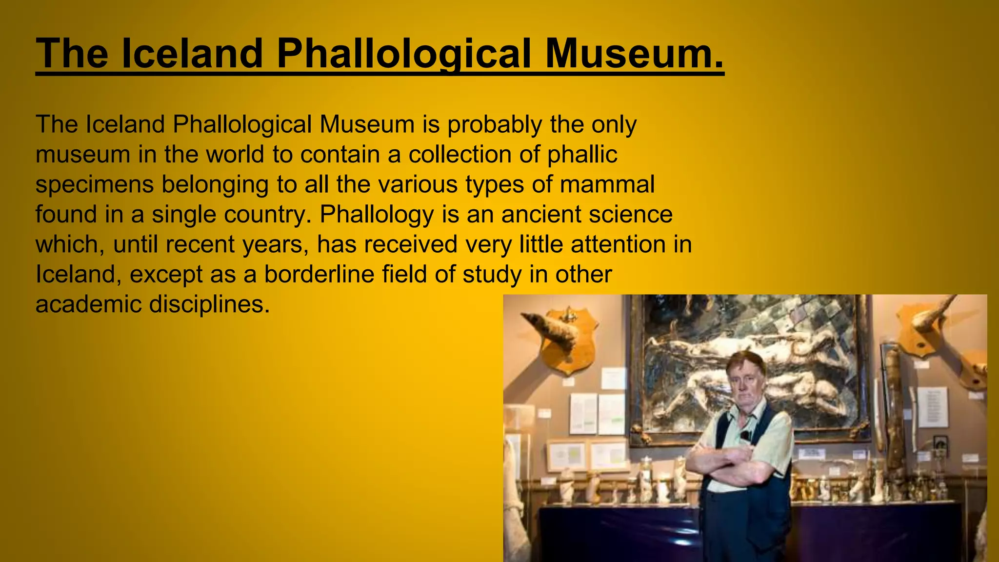 An unusual museum | PPTX