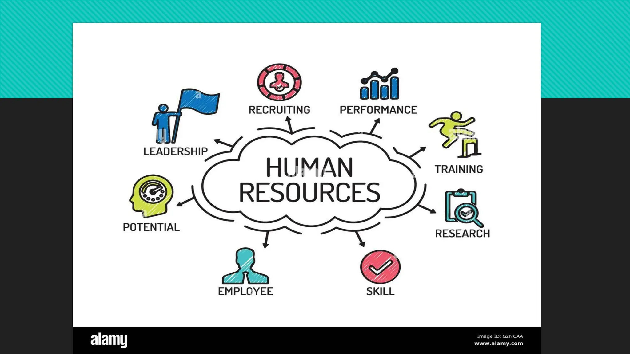Human Resources( Social Science) Class VIII | PDF