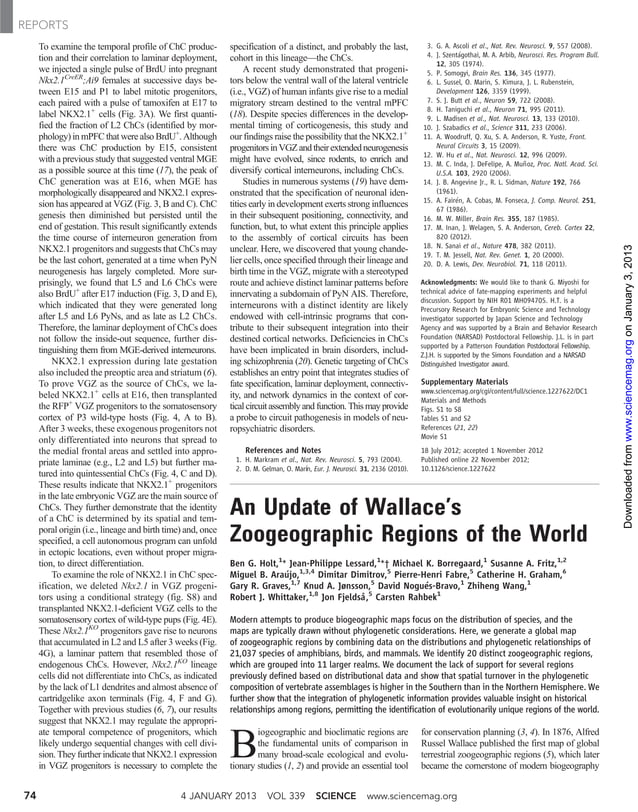 An update of wallace´s zoogeographic regions of the world | PDF ...