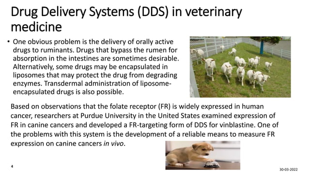 An Updates on veternary formulations.pptx