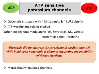 Anup p.( k channel opener) | PPT