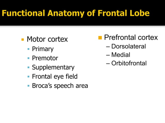 Functional anatomy of Frontal lobe | PPTX