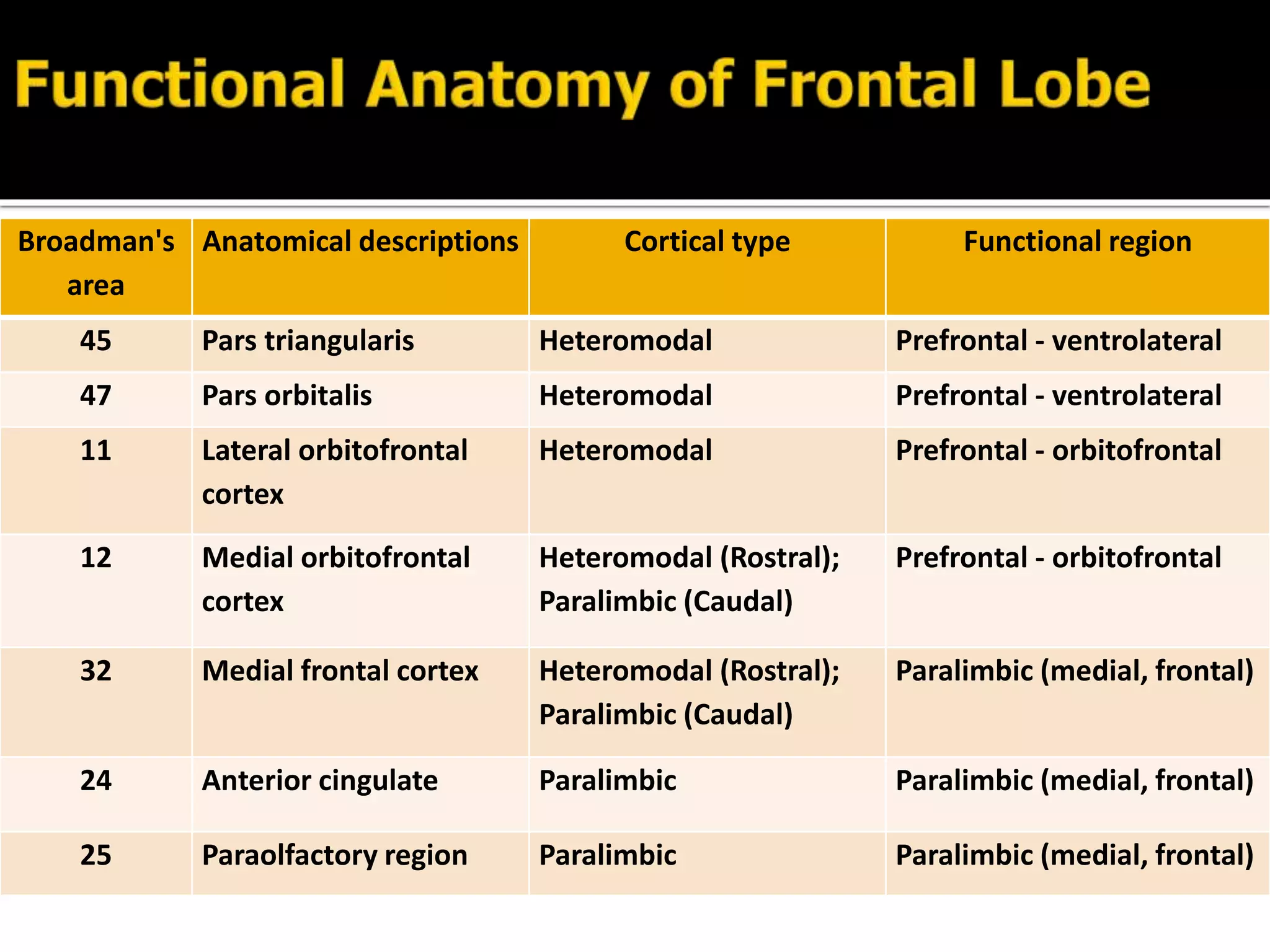 Anatomy of Frontal lobe | PPTX