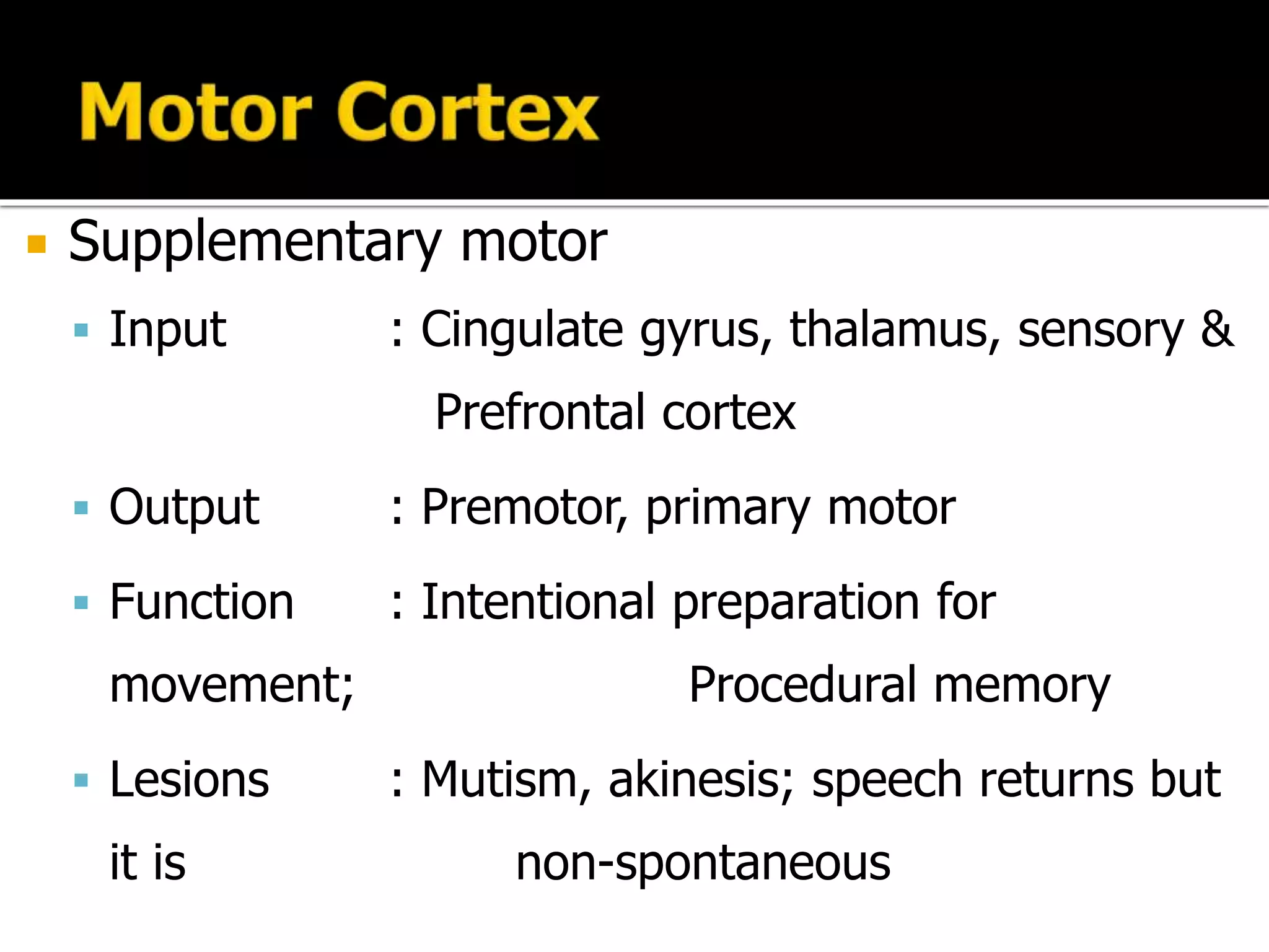 Anatomy of Frontal lobe | PPTX