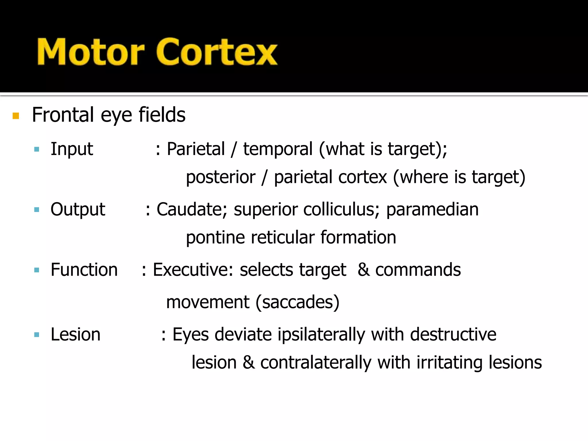 Anatomy of Frontal lobe | PPTX