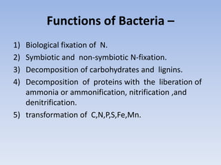 Soil Organisms, functions and their role in Soil fertility | PPTX