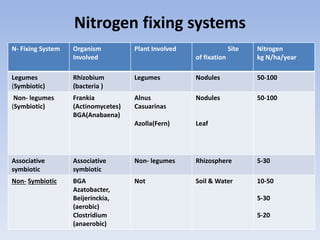 Soil Organisms, functions and their role in Soil fertility | PPTX