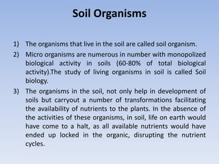 Soil Organisms, functions and their role in Soil fertility | PPTX