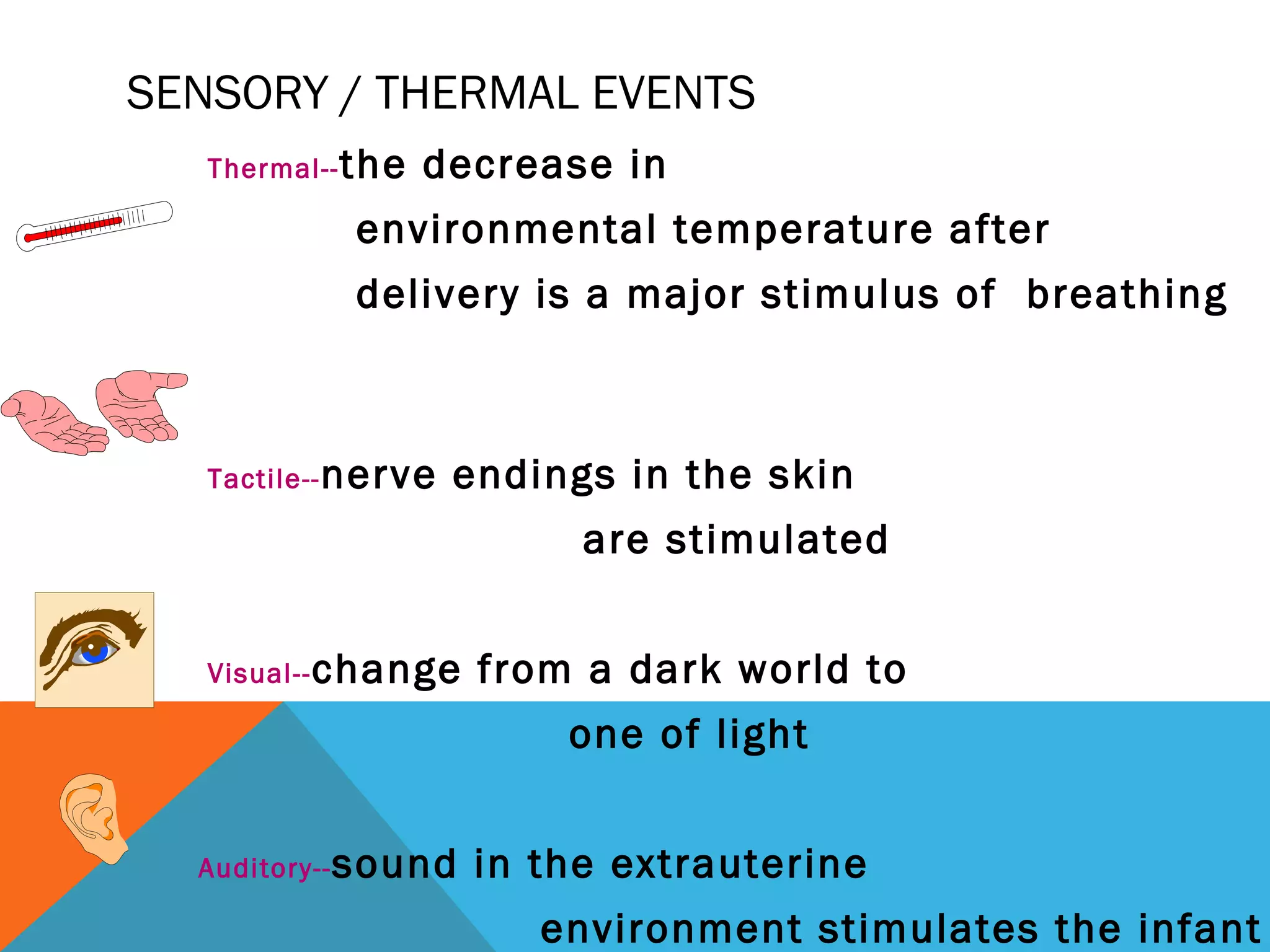 neonatal physiology and transition period | PPT