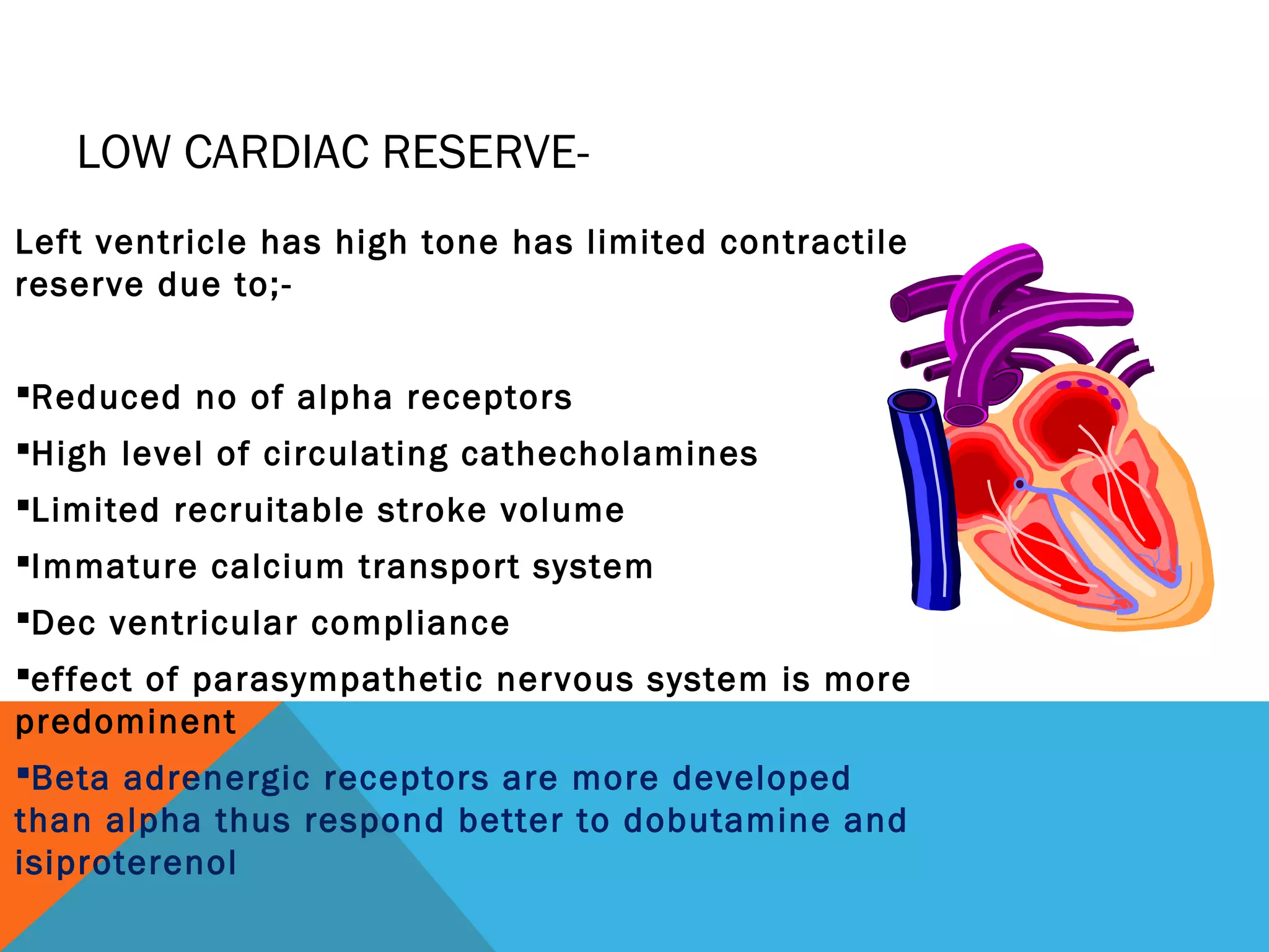neonatal physiology and transition period | PPT