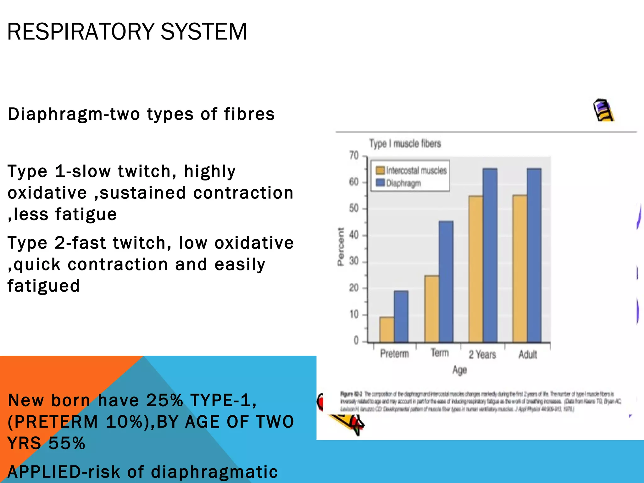 neonatal physiology and transition period | PPT