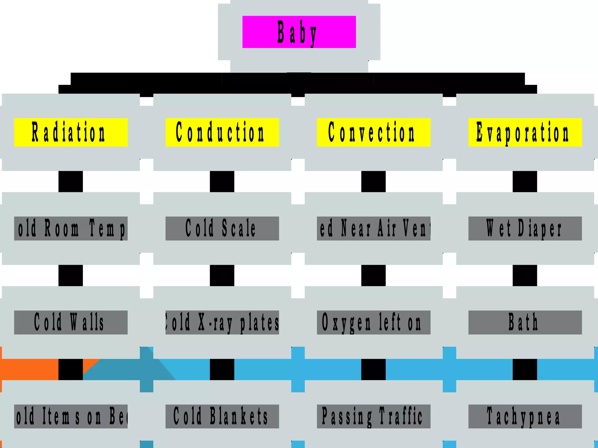 neonatal physiology and transition period | PPT