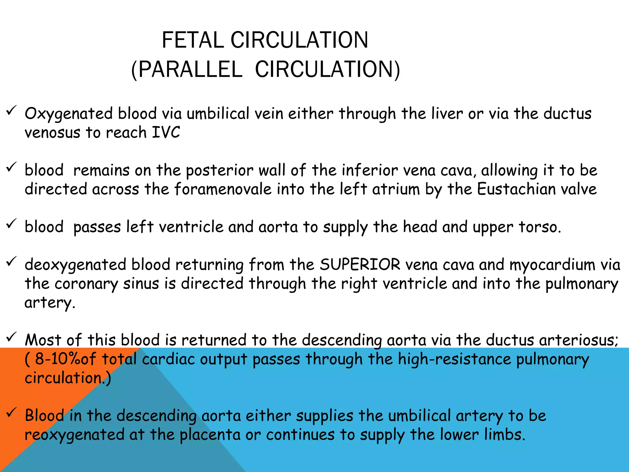 neonatal physiology and transition period | PPT