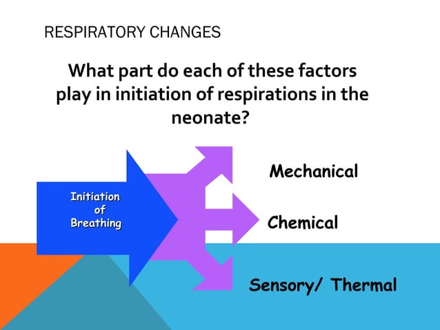 neonatal physiology and transition period | PPT
