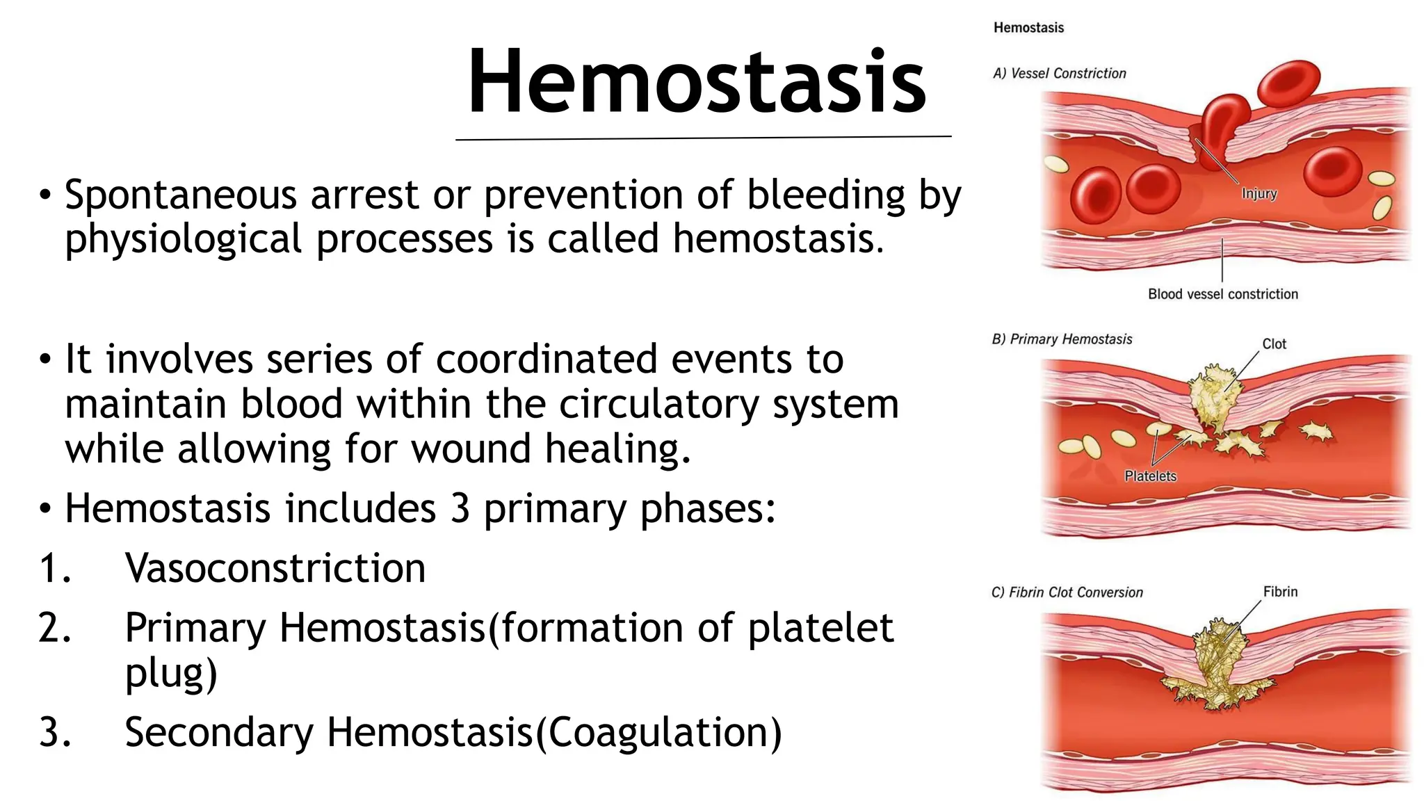 anurag .pptx (1) - 20240118_091649.pdf very useful | PDF