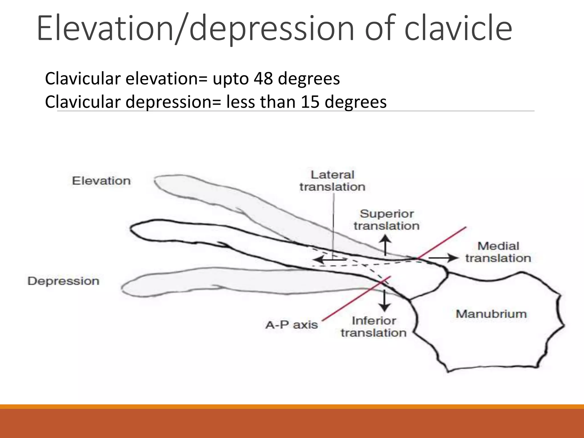 biomechanics of shoulder | PPTX