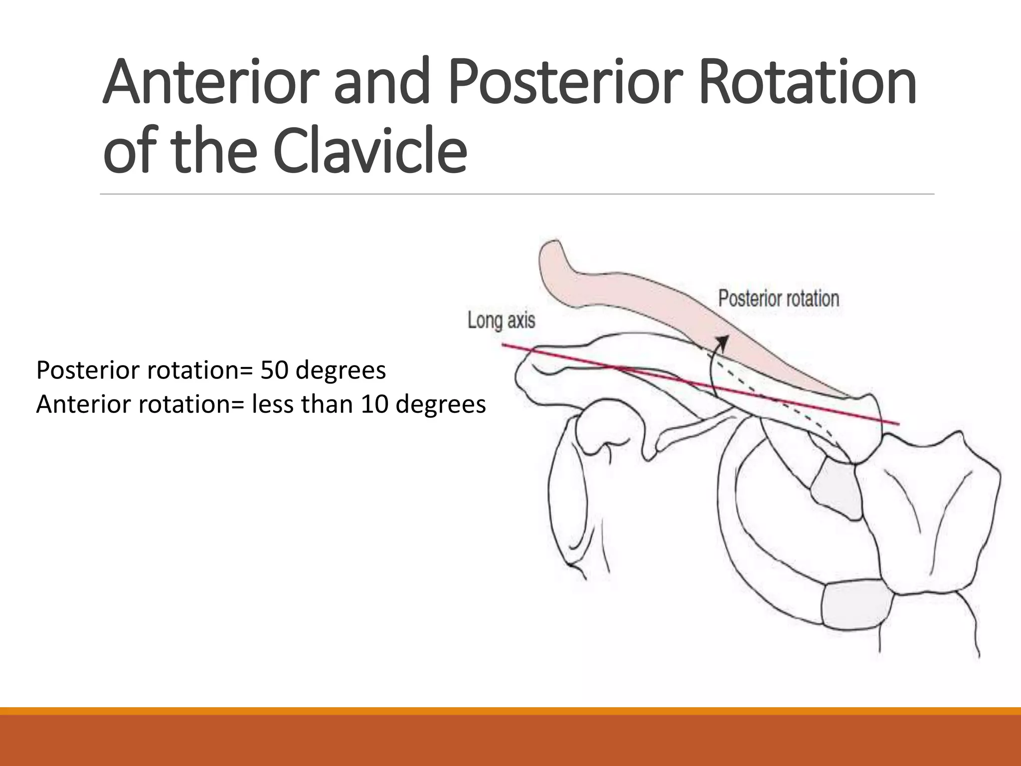 biomechanics of shoulder | PPTX