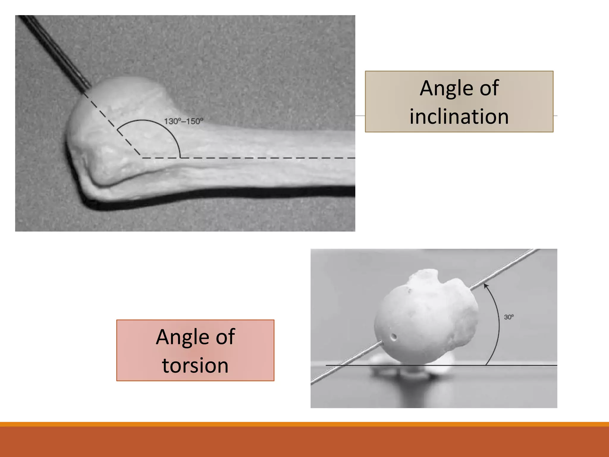 biomechanics of shoulder | PPTX