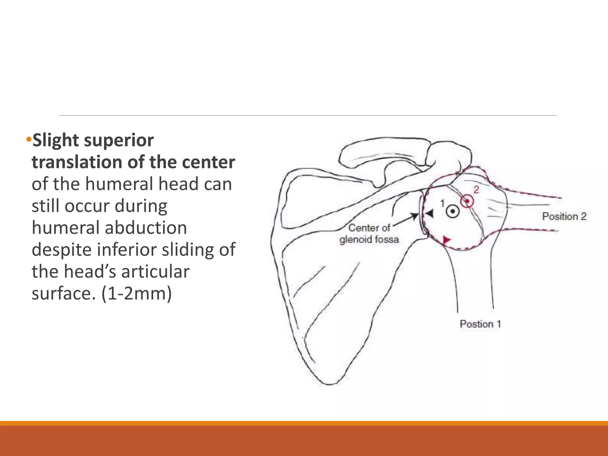 biomechanics of shoulder | PPTX