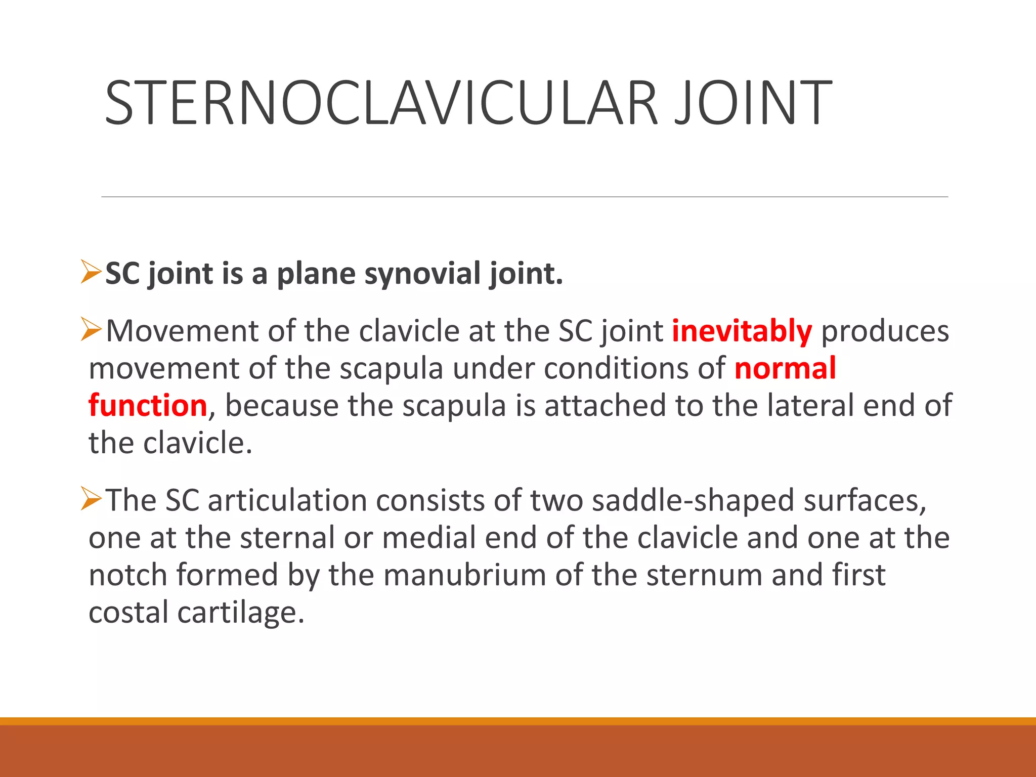 biomechanics of shoulder | PPTX