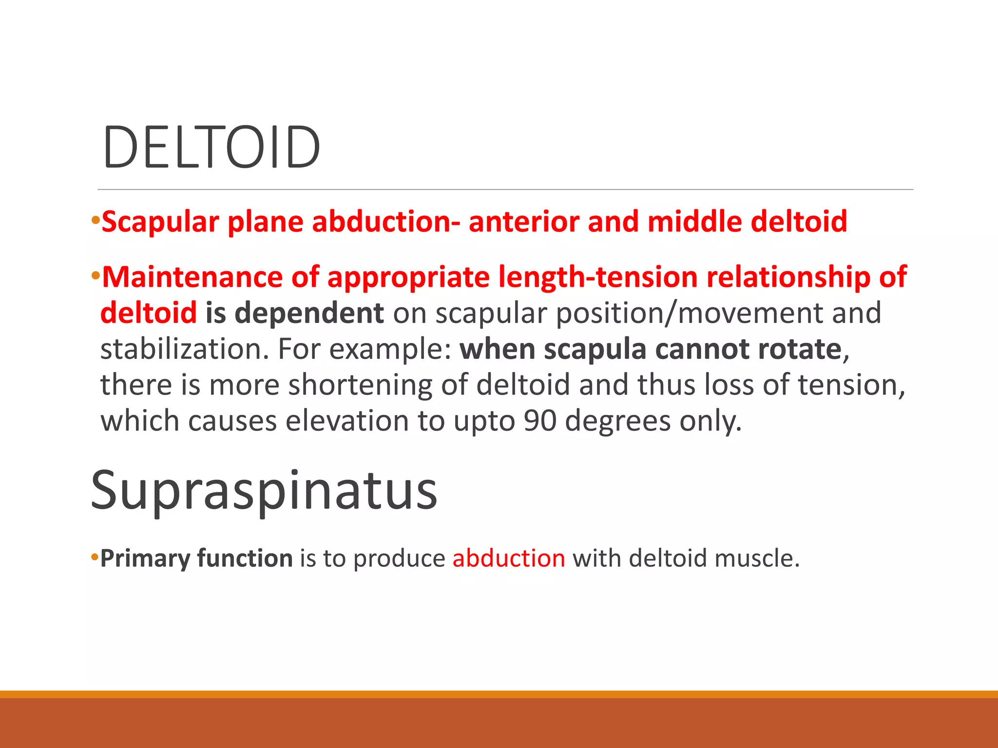 biomechanics of shoulder | PPTX