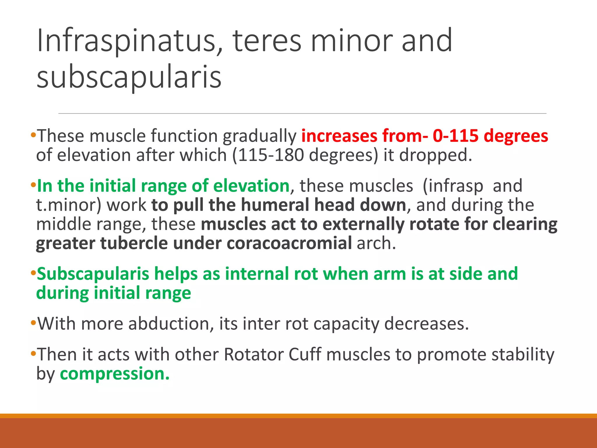 biomechanics of shoulder | PPTX