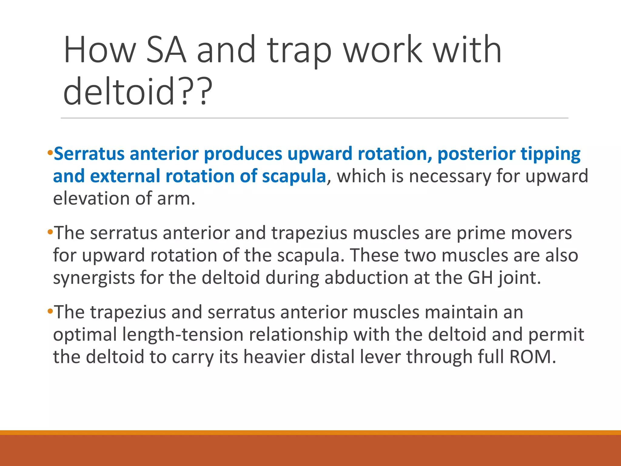 biomechanics of shoulder | PPTX