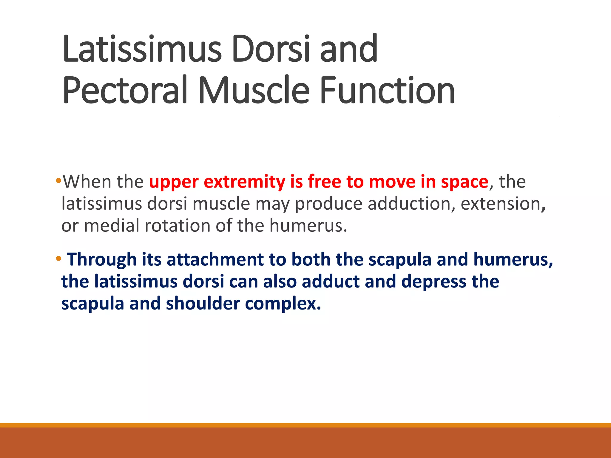 biomechanics of shoulder | PPTX
