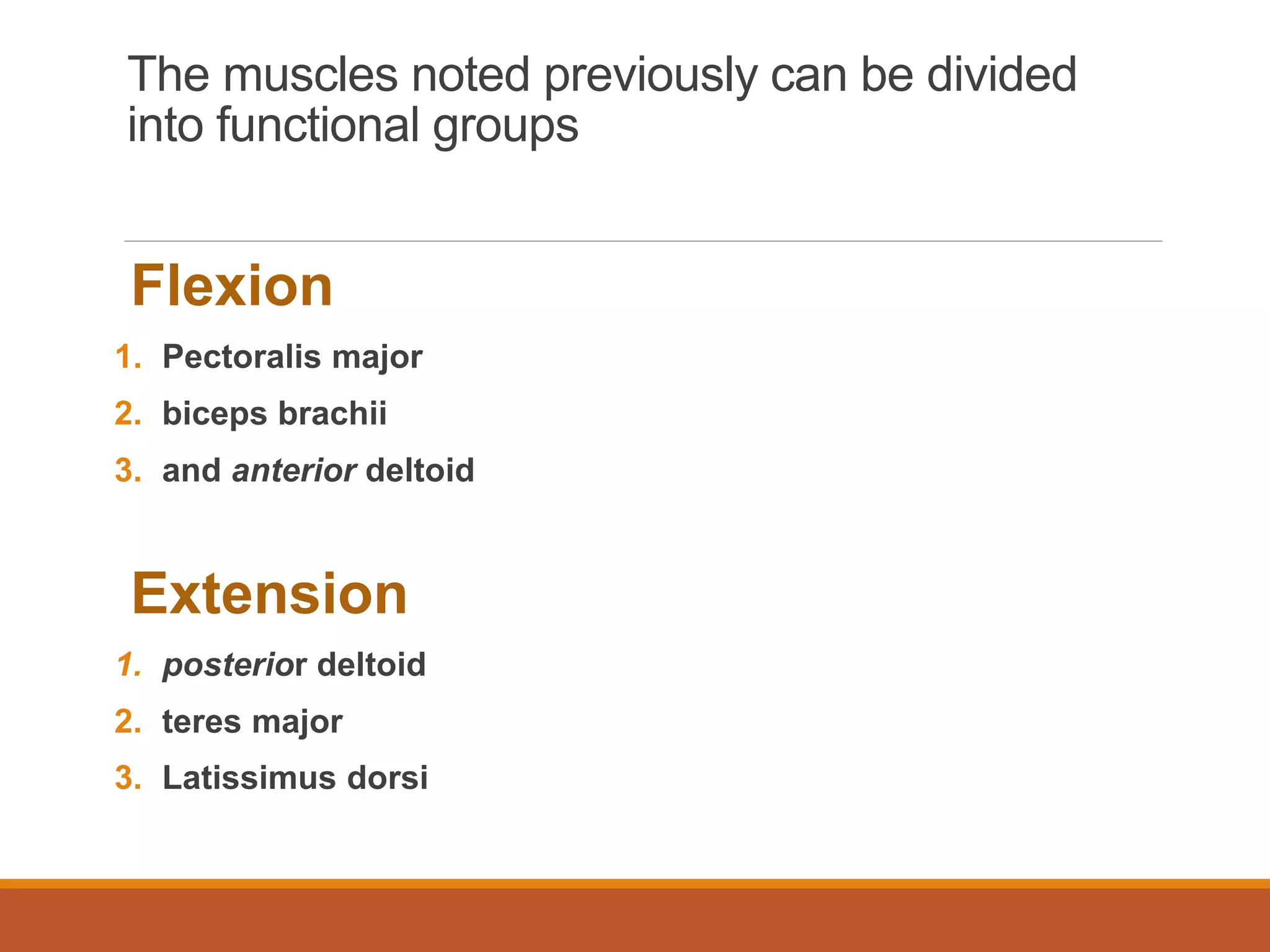 biomechanics of shoulder | PPTX
